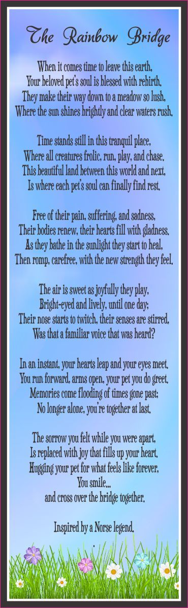 Rainbow Bridge Poem For Cats