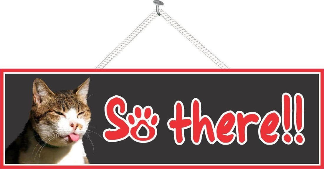 Cute Cat | Sarcastic Quotes| Fun Sign Factory